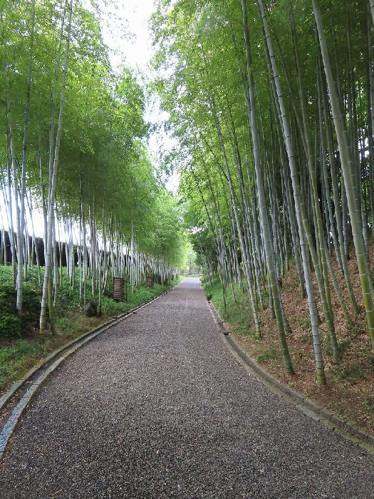 後期高齢への備え！ :: Masayan-hp