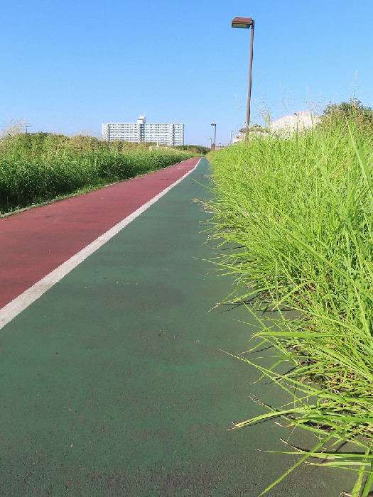 久しぶりの散歩道！ :: Masayan-hp